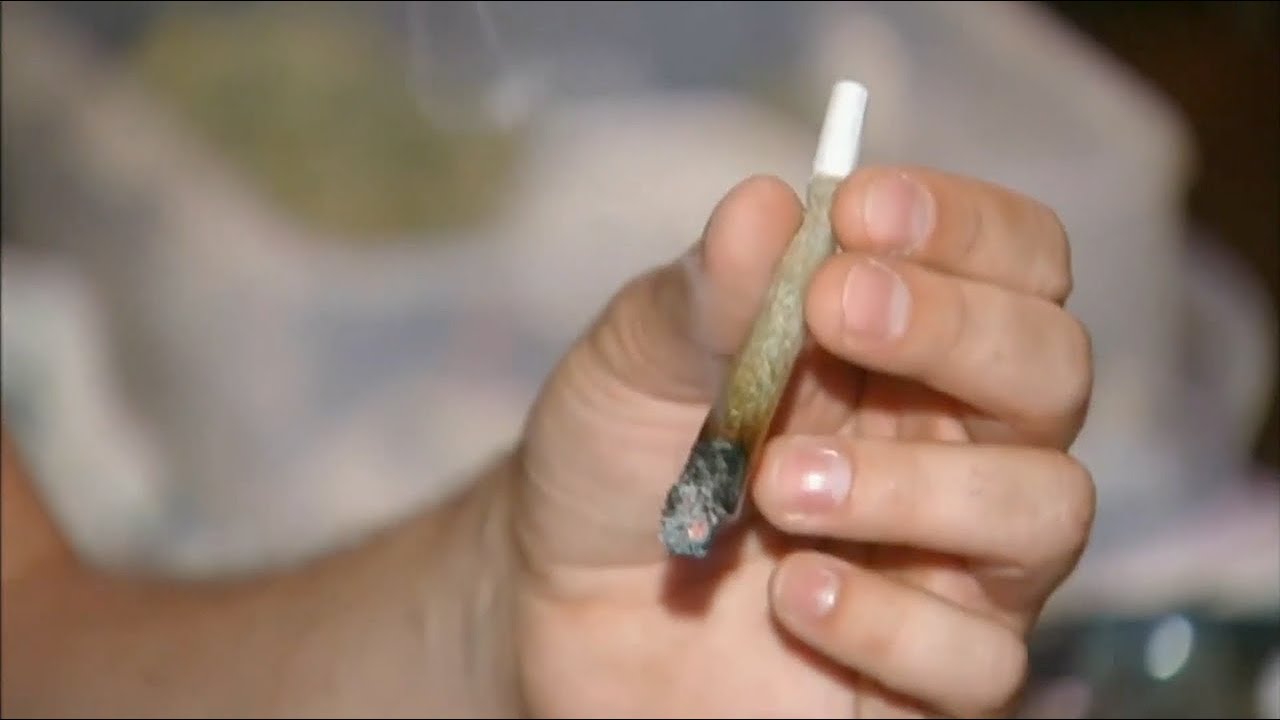 Driving high: Marijuana-related crashes rise across U.S. - YouTube