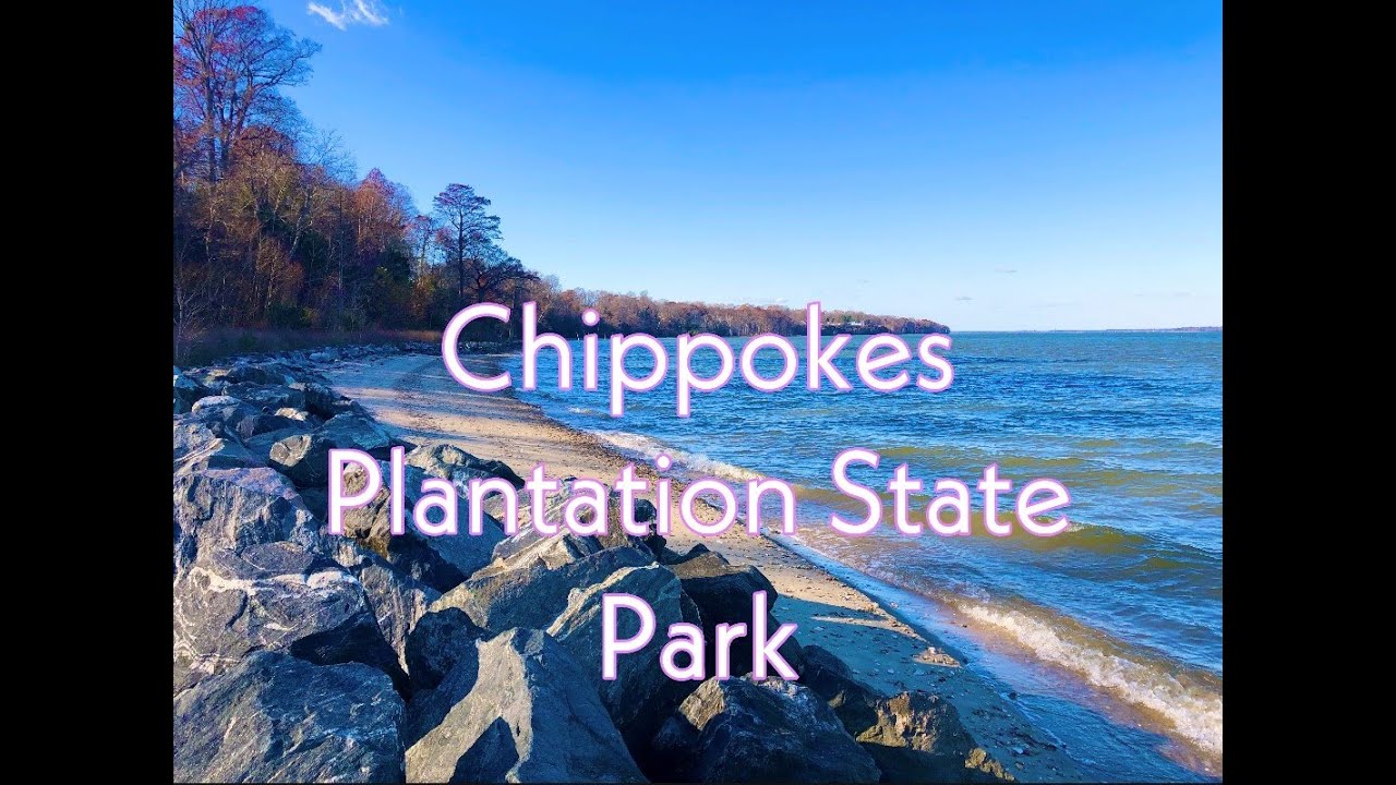 Chippokes State Park SOLO Hike - Virginia - YouTube