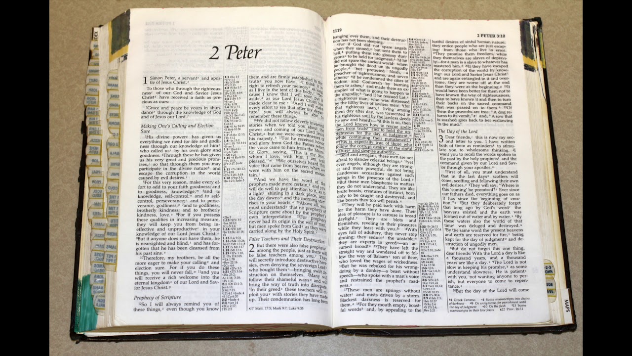 Holy Bible - 2 Peter 2 : 1 - 22 - YouTube
