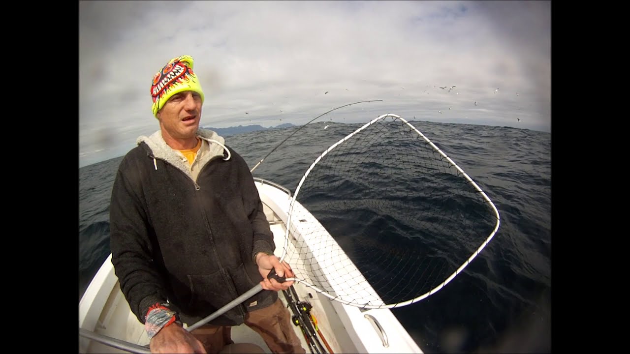 Katonkel and Slender Tuna at Robbeneiland - YouTube