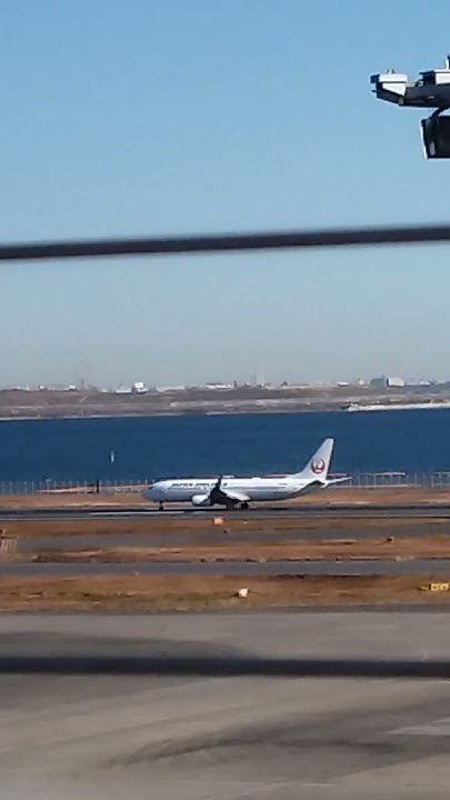 JAL B737離陸#羽田空港 #飛行機 #shorts - YouTube