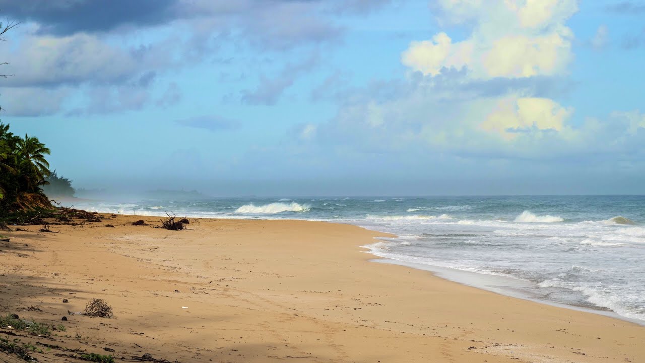 BEAUTIFUL BEACH MORNING, SURF SOUNDS, WILD CARIBBEAN BEACH. LOIZA ...