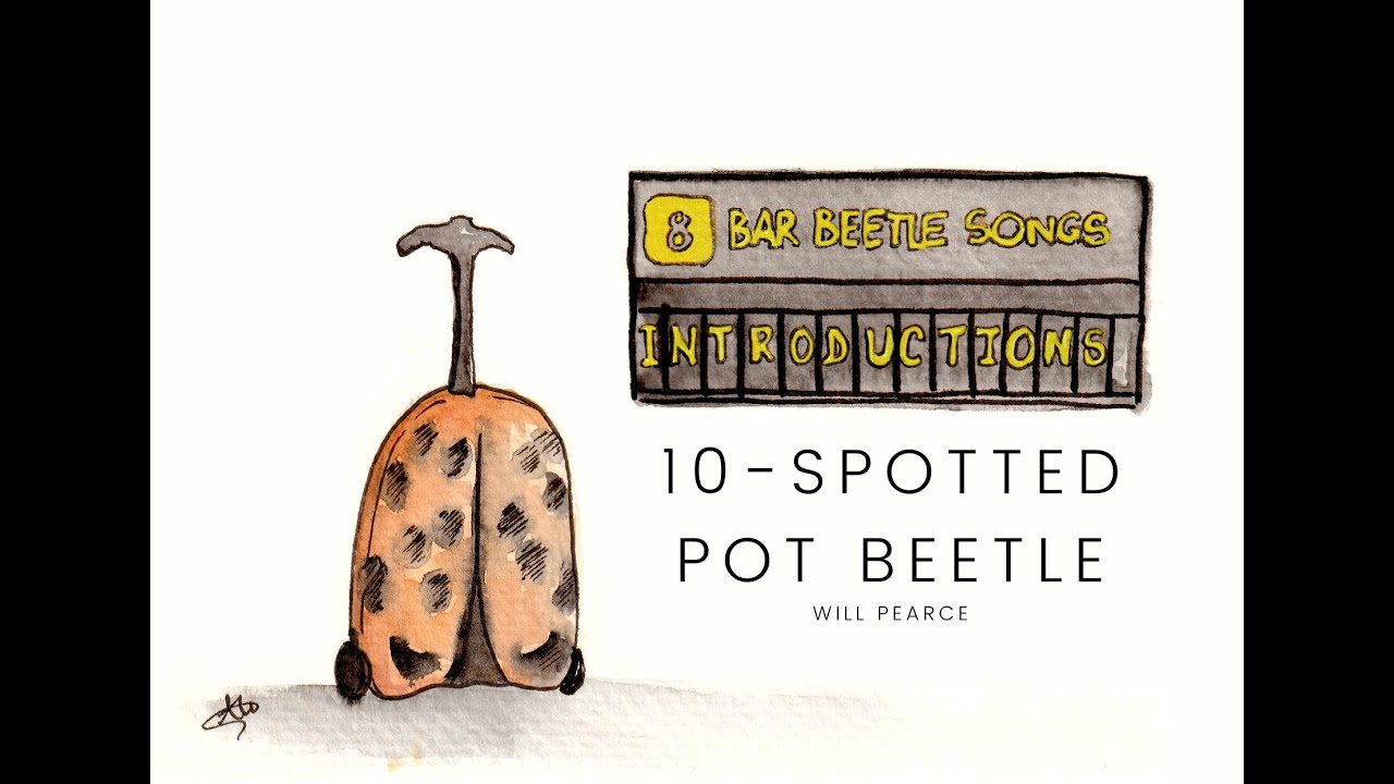 10-spotted Pot Beetle - YouTube