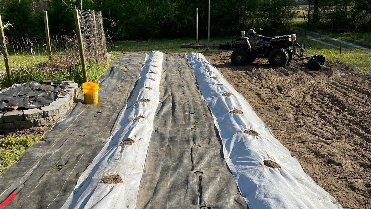 How to build a WEED FREE garden, and announcing our giveaway winner ...