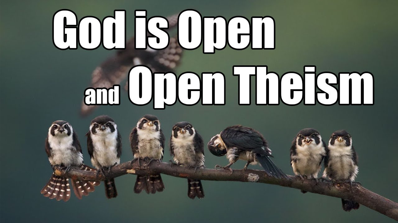 EP237 Open Theism and the focus on God - YouTube