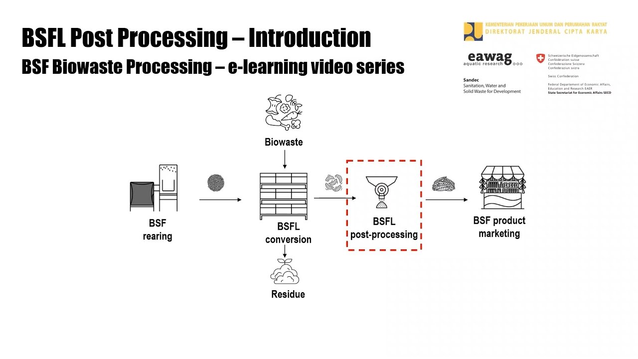 BSFL Post-processing - Introduction - BSF Biowaste Processing e ...