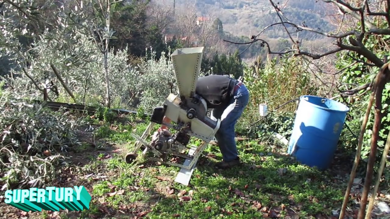 collaudo cippatore - YouTube