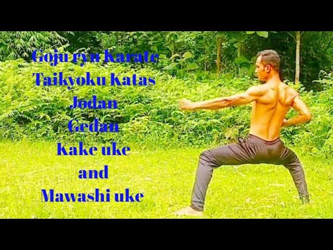 Taikyoku Katas||Jodan, Gedan, Kake uke and Mawashi uke #gojuryu #karate #martialarts - YouTube