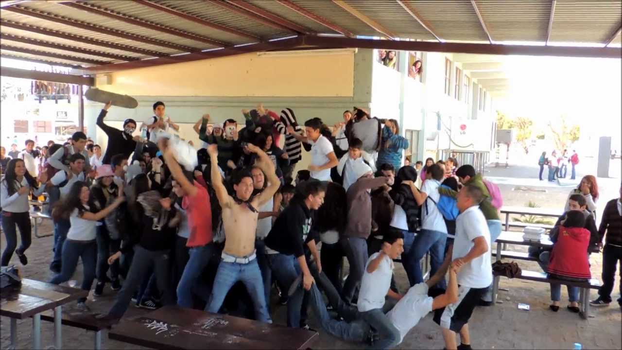 HARLEM SHAKE HIGH SCHOOL CBTis 37 - YouTube