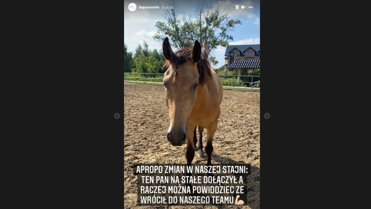 ATTACCAMA SPRZEDAŁA KONIA WŁAŚCICIELCE OD KTÓREJ GO dożywotnia ...
