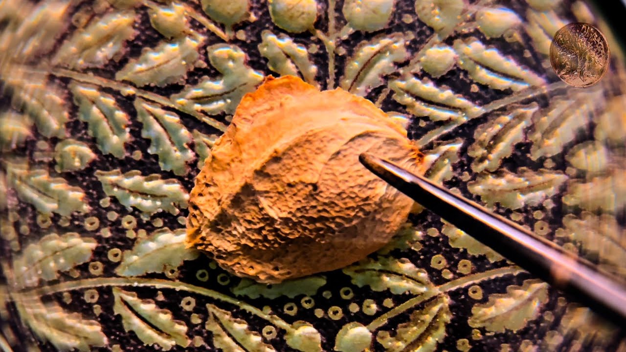 🎧Aurelio’s Heavenly Workshop•ASMR Layered Sounds•Distant Echoes•Super ...