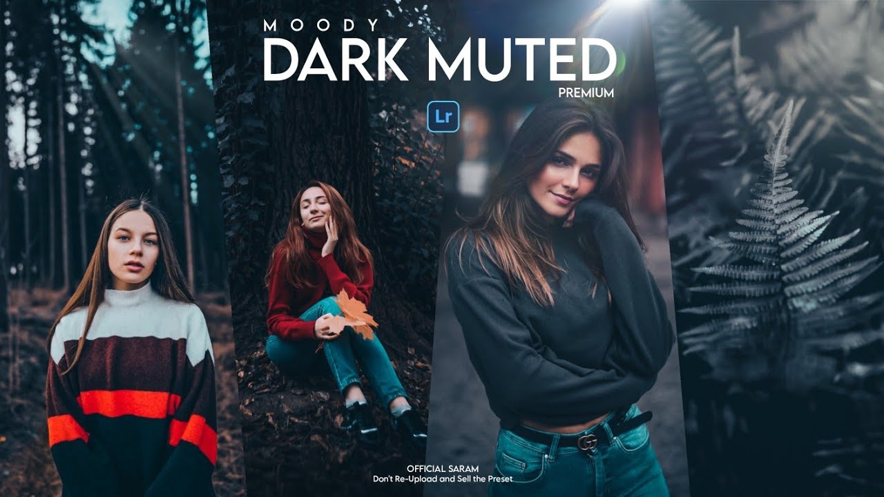 "Mastering the Mystery: Unveiling Dark Muted Lightroom Presets for ...