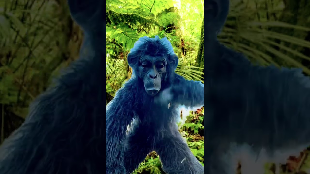 Gorilla tag IRL - YouTube