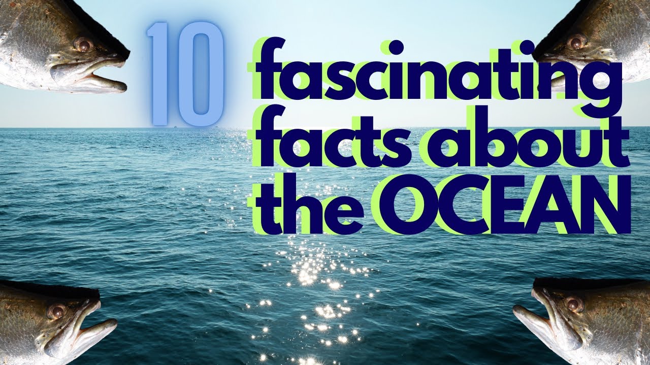 10 Fascinating Facts About the Ocean - YouTube