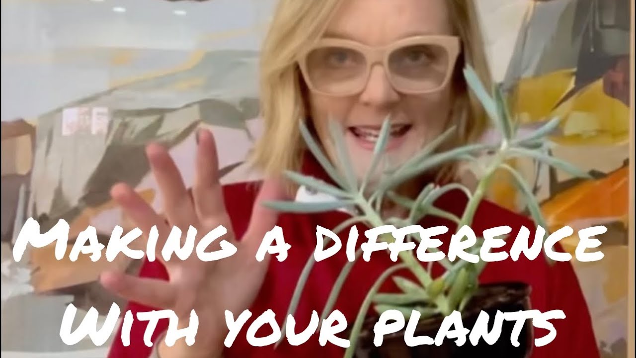 Too many houseplants plants? Here's a solution! - YouTube