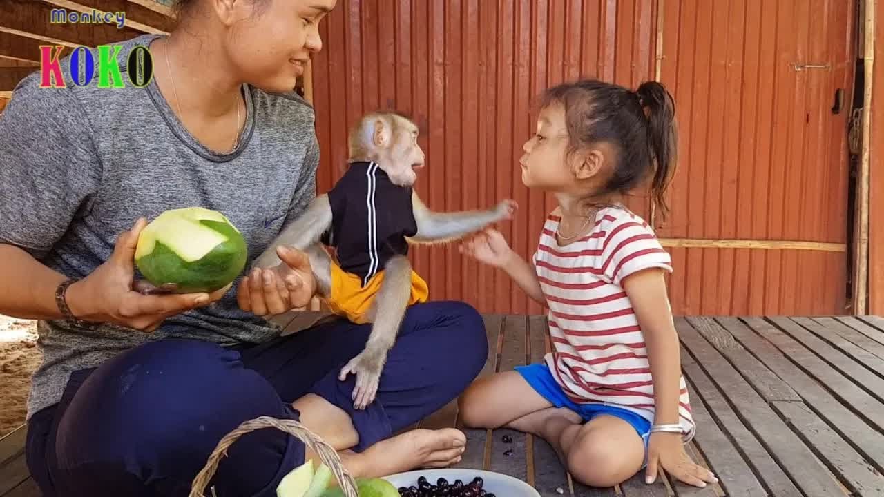Koko So Happily Eating And Playing To Sreye - YouTube