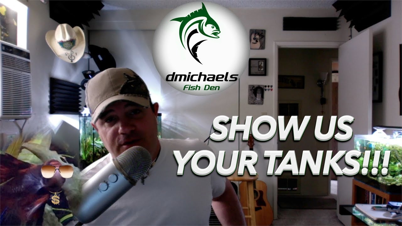 Show Us Your Tanks!! Trying Out A New Channel Series... - YouTube