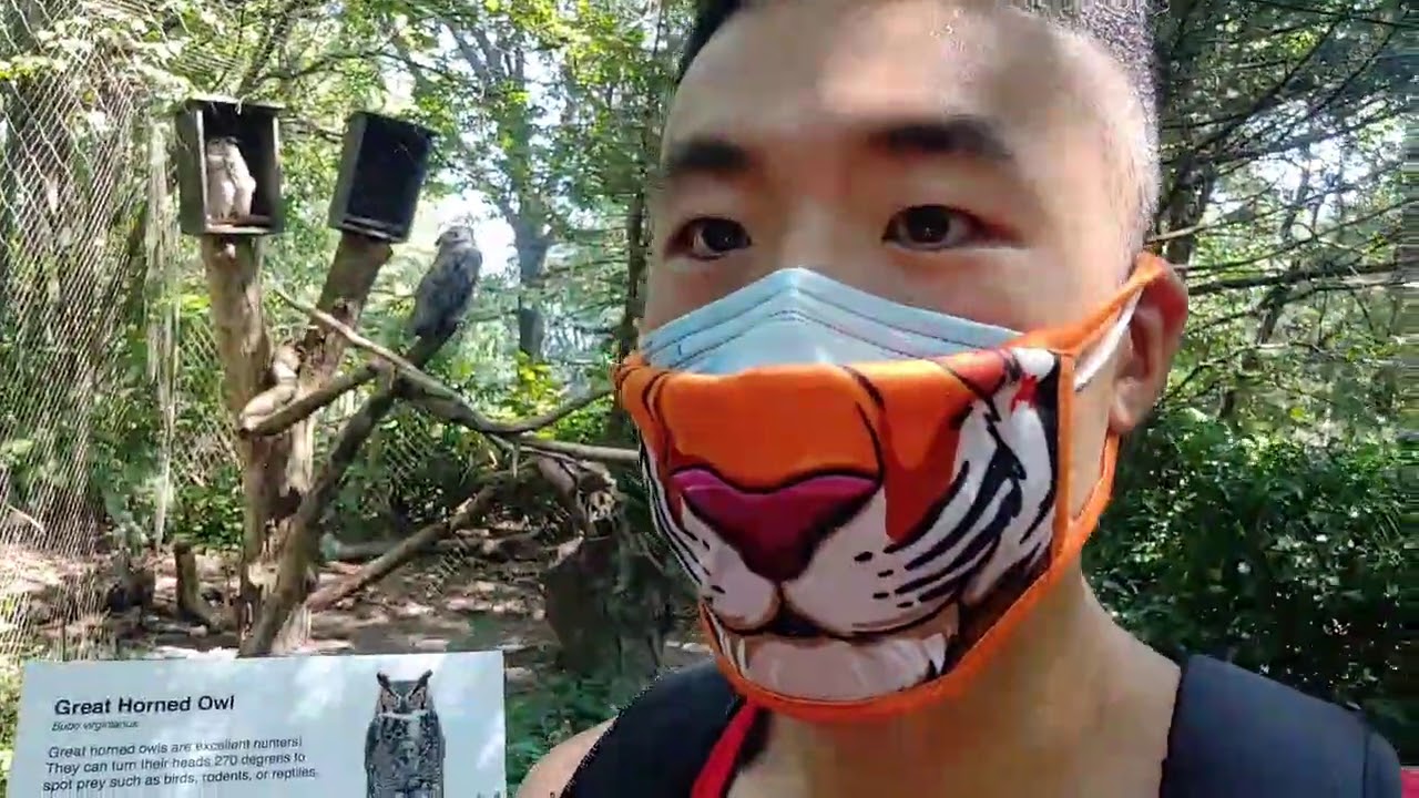 [IRL] ZOO Stream PT2 (recovery day 74) - YouTube