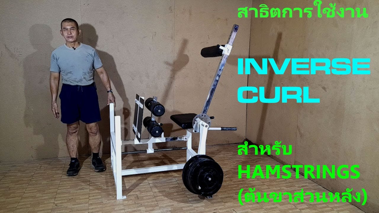 Inverse Curl สำหรับ Hamstrings (ต้นขาด้านหลัง) - YouTube
