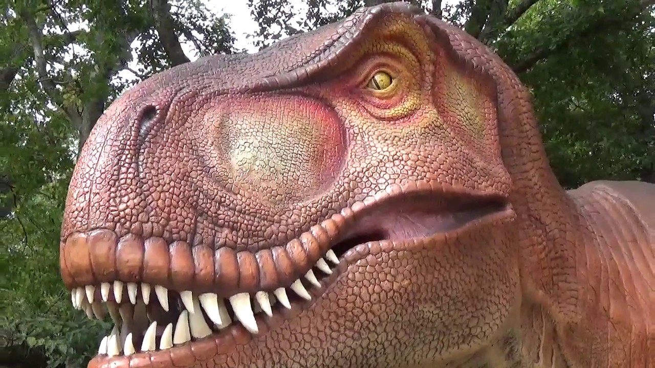 Dinosaurs Live! Heard Natural Science 10 10 2017 - YouTube