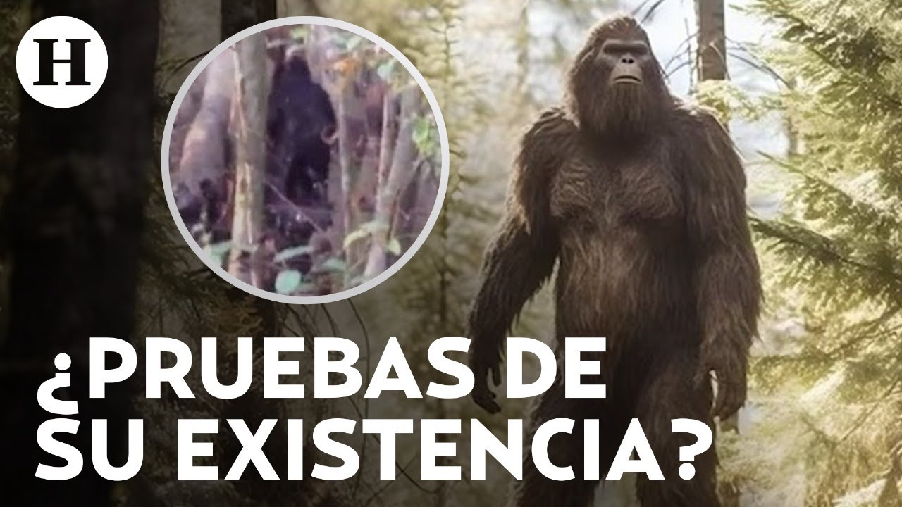 ¡Impresionante! Captan en video a extraña criatura en bosques de ...