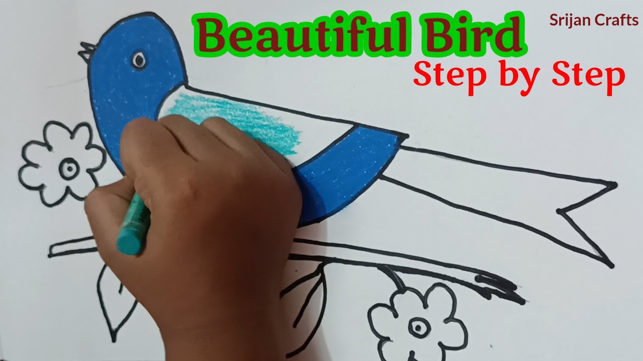 How to draw a bird easy drawing step by step | very Simple drawing ...