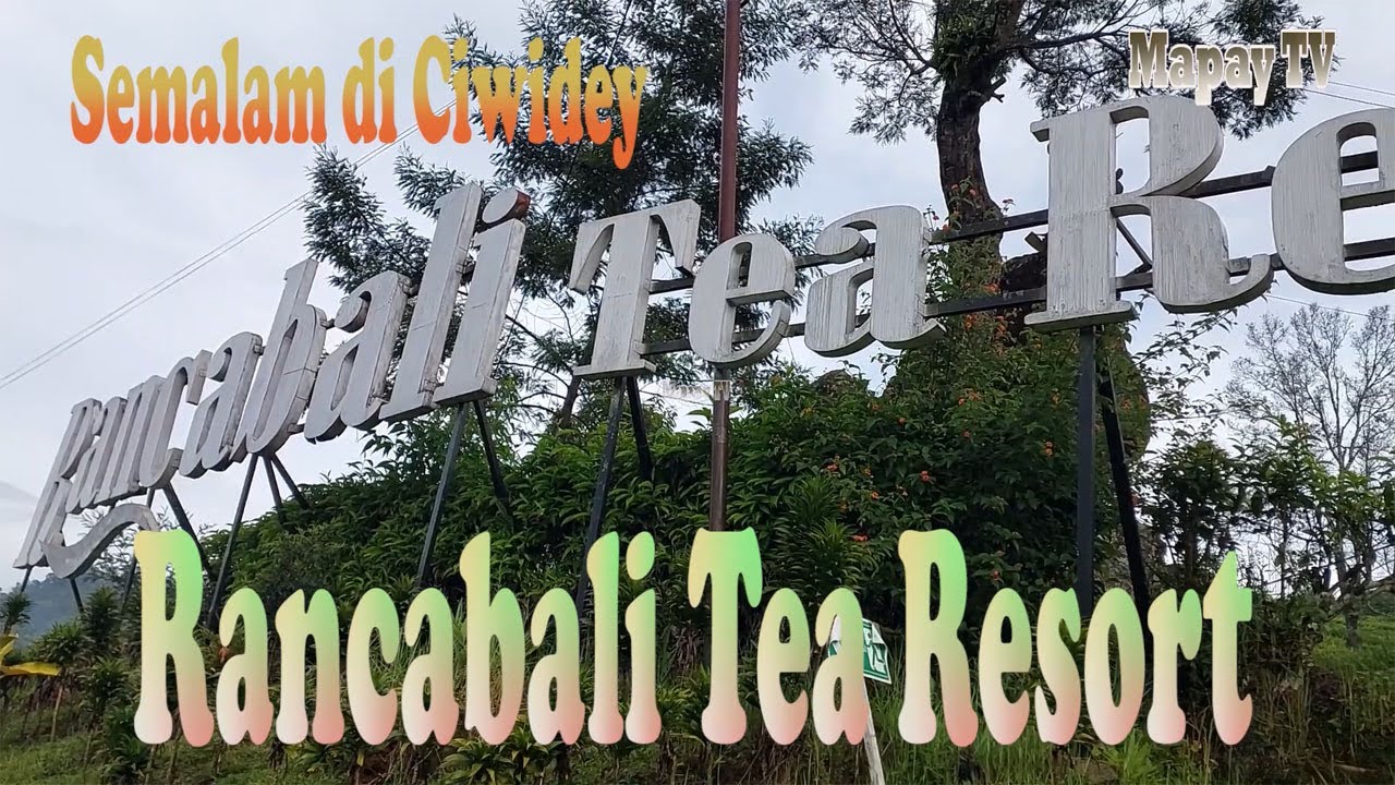 Semalam menginap di Kebun Teh Ciwidey - Rancabali Tea Resort Bandung ...