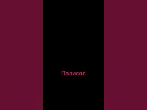 палисос - YouTube