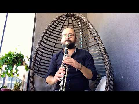 Benim Hayatım - İbrahim Tatlıses / Berkay (Klarnet Enstrümantal)