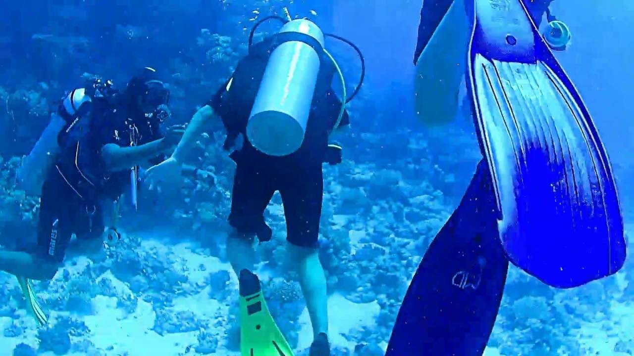 Marcel Münster - Das Sieben Säulen Riff Tobia Arba - Tauchen Safaga ...