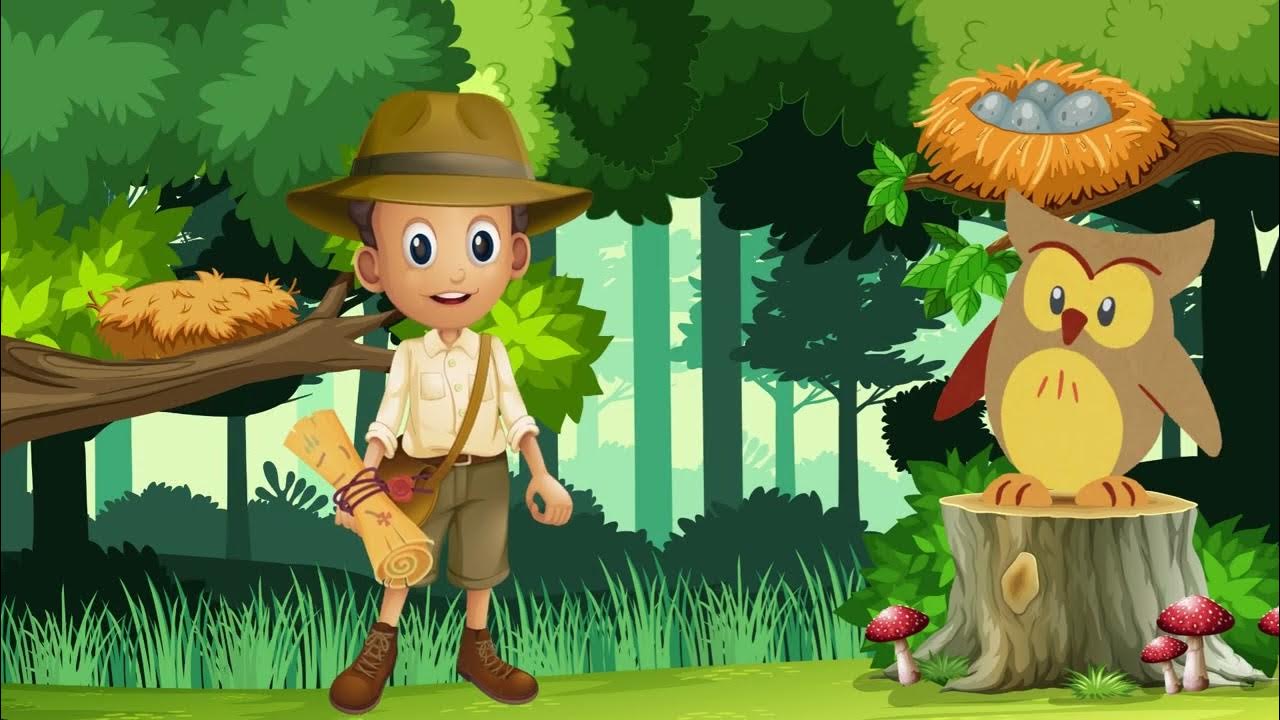 A Jornada do Pequeno Explorador. História para crianças - YouTube