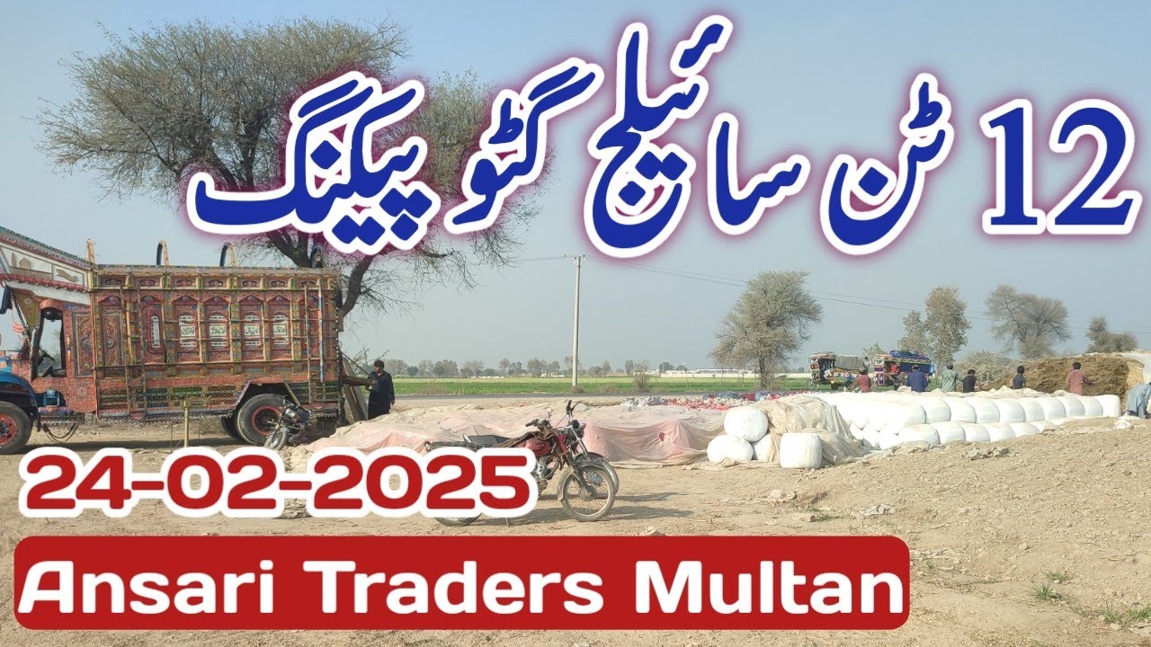 12 Tann Makai 🌽 Silage Gatto Packing Loading | Silage Price in Pakistan 2025 | Ansari Traders ...