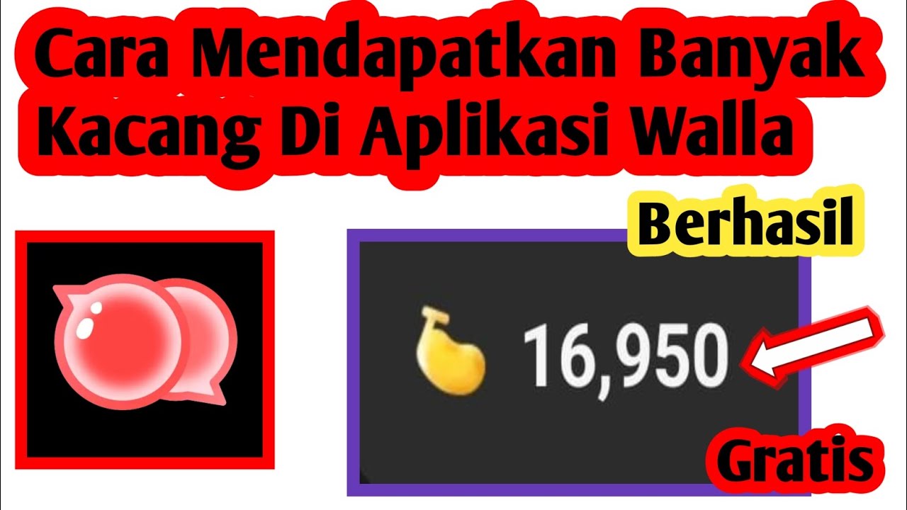 Cara Mendapatkan Banyak Kacang Di Aplikasi Walla | Cara Dapat Kacang Walla - YouTube