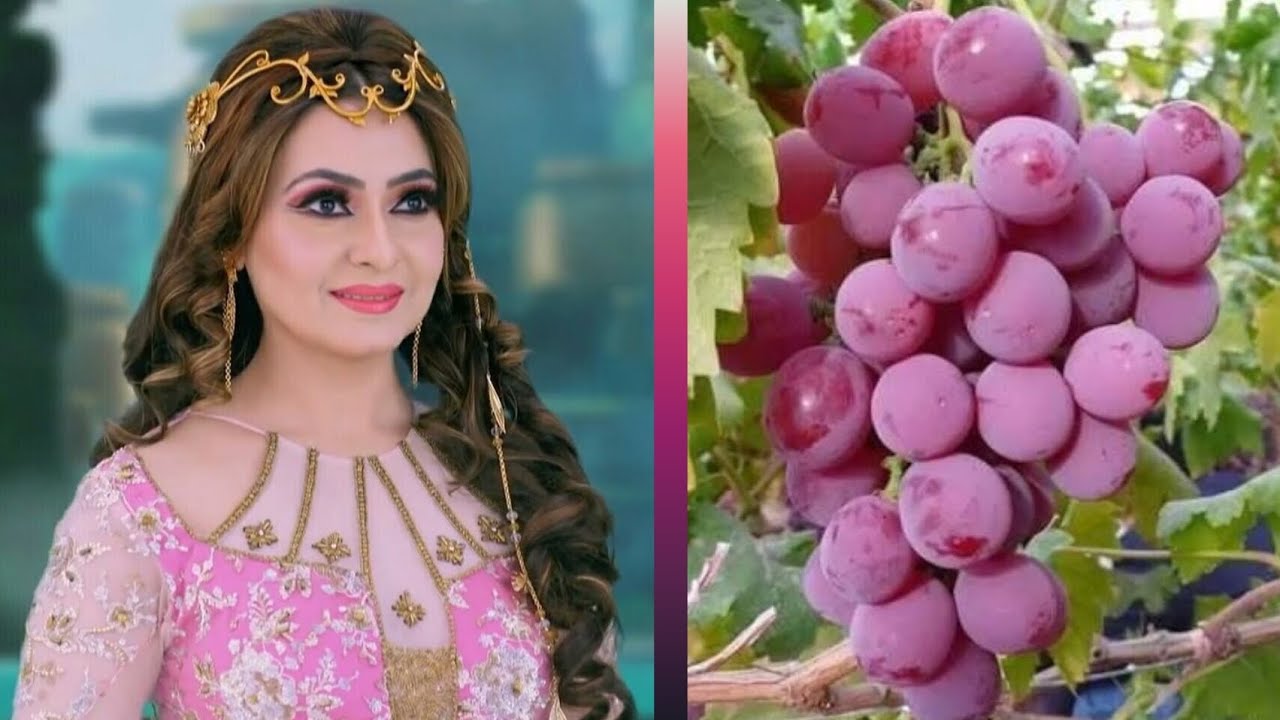 balveer returns all pariyon matching grapes #balveer #pari #shortvideo ...