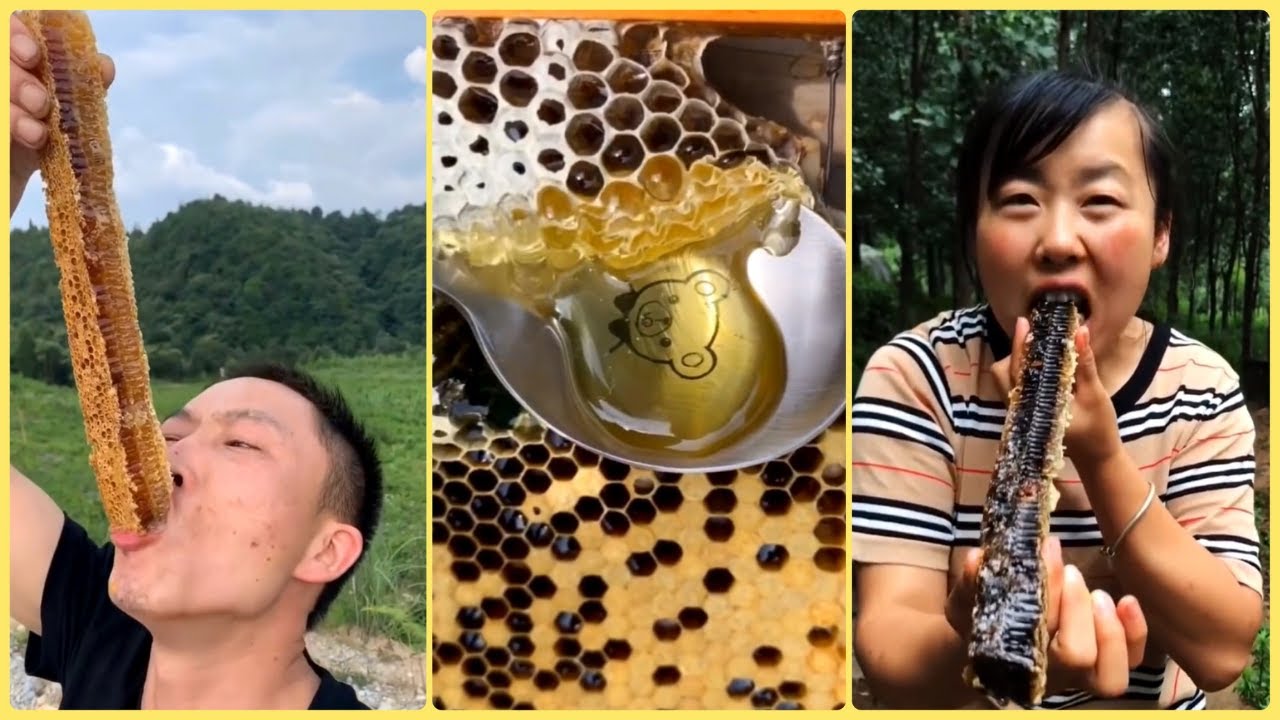 Eating Honeycomb 🍯 Best ASMR Video, So Satisfying!! - YouTube