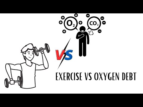 EXERCISE VS OXYGEN DEBT- ANAEROBIC RESPIRATION DURING EXERCISE IGCSE ...