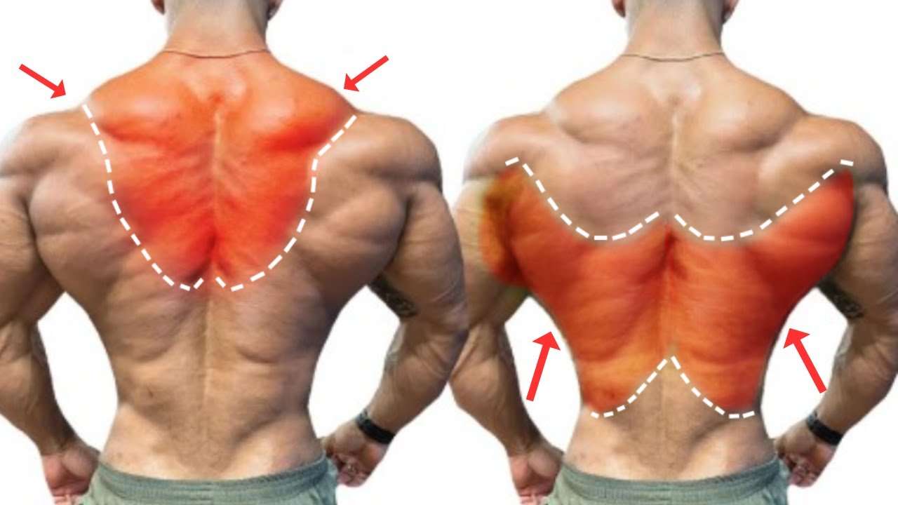 How to make a SHREDDED WIDER BACK (Absolute Instant Growth) - YouTube