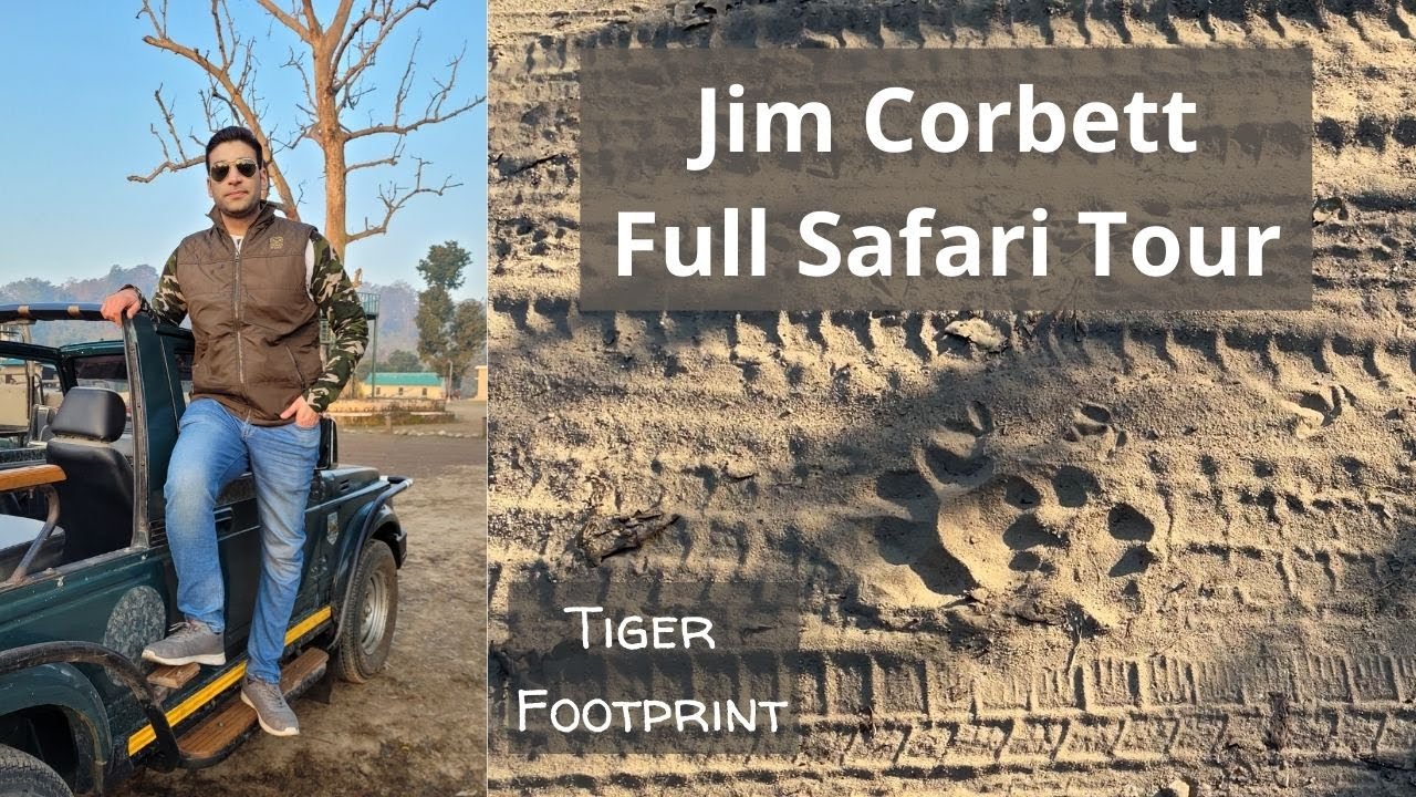 Jim Corbett National Park Full Safari | Bijrani Zone Gypsy Safari 4K ...