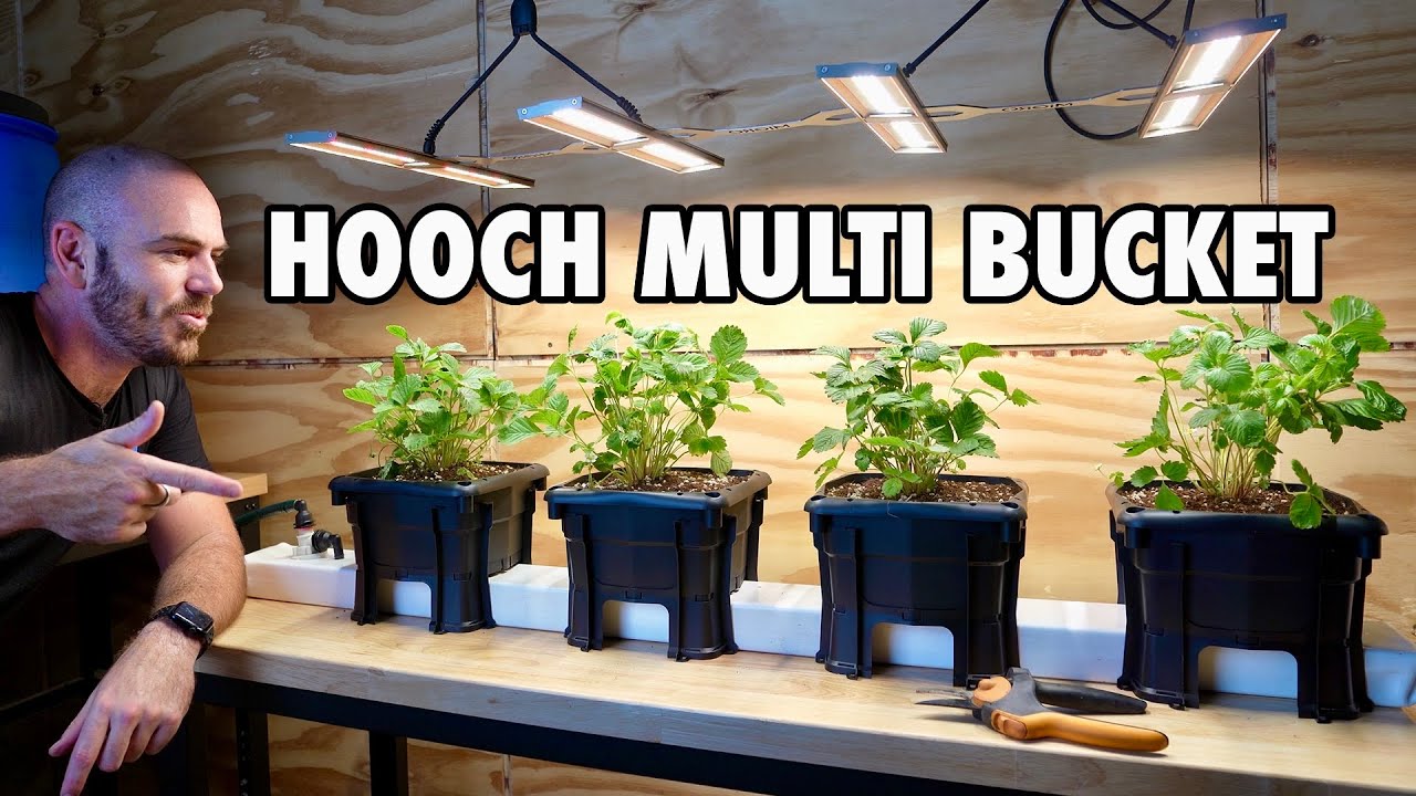 Introducing the Hooch Multi Bucket Hydroponic System - YouTube