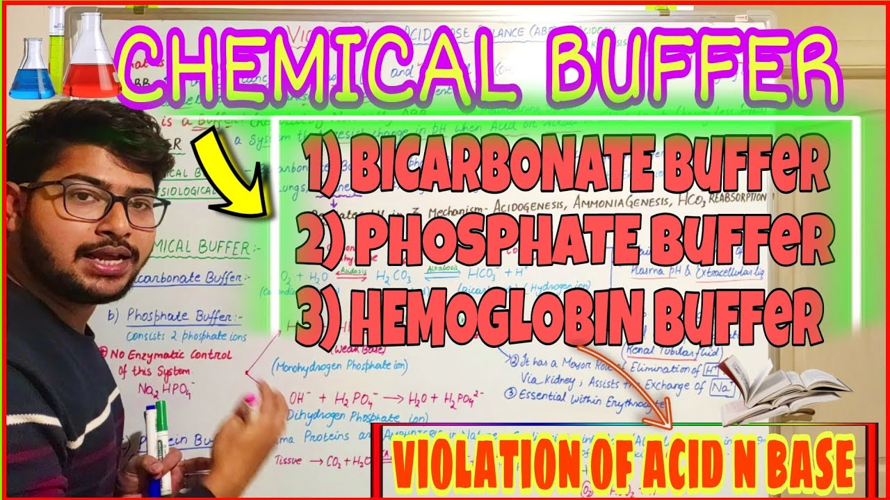 CHEMICAL BUFFER - BICARBONATE buffer, PHOSPHATE buffer, PROTEIN ...