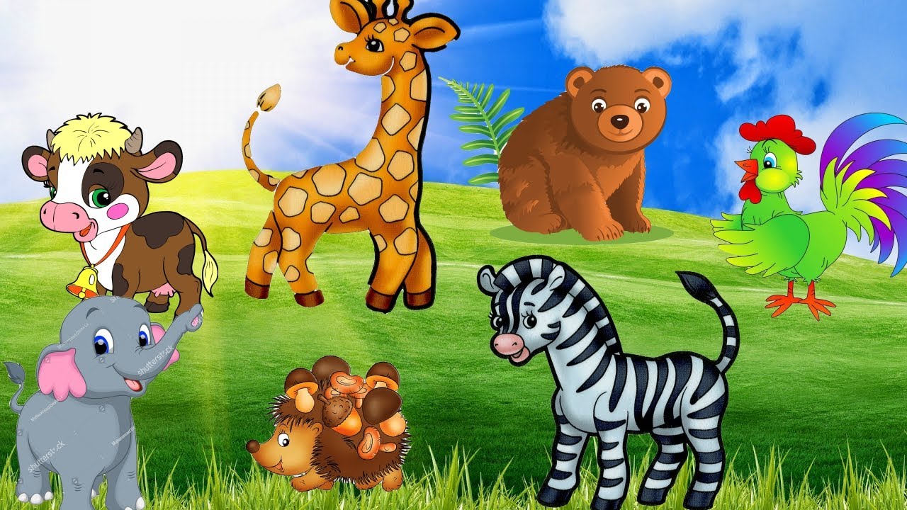 Very huge healthy animals: tigers, elephants, chickens, bunnies and all ...
