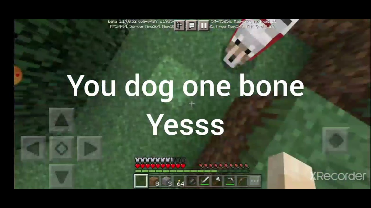 one dog one bone how - YouTube
