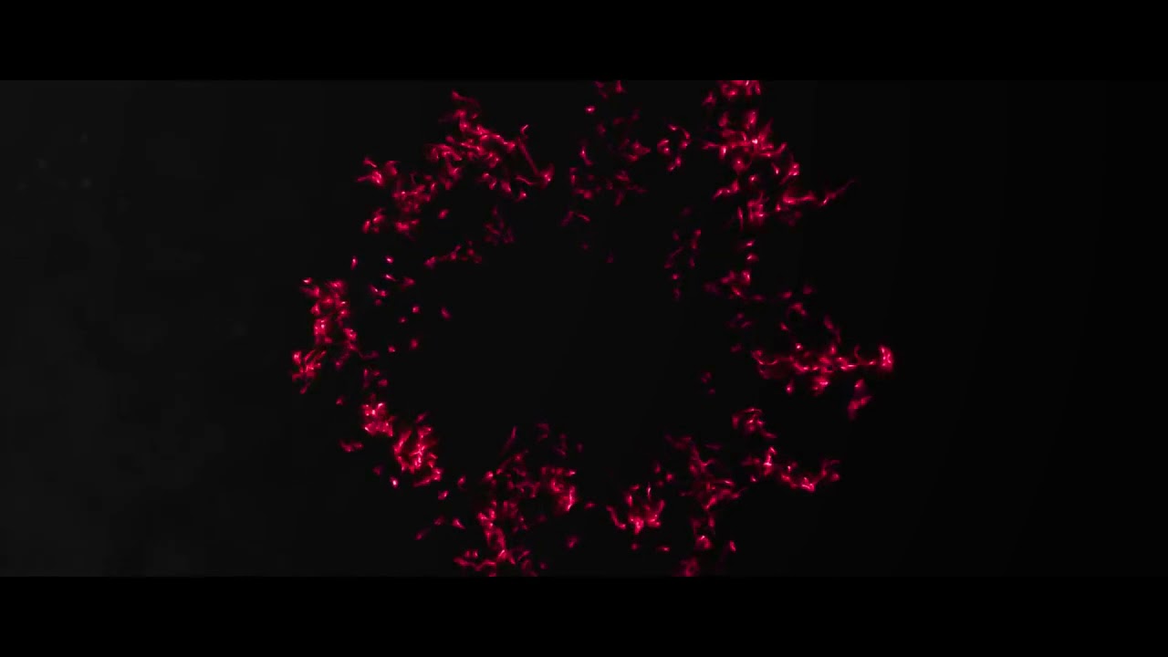 40 Colorful Shockwave Effect Pack Free Download - YouTube