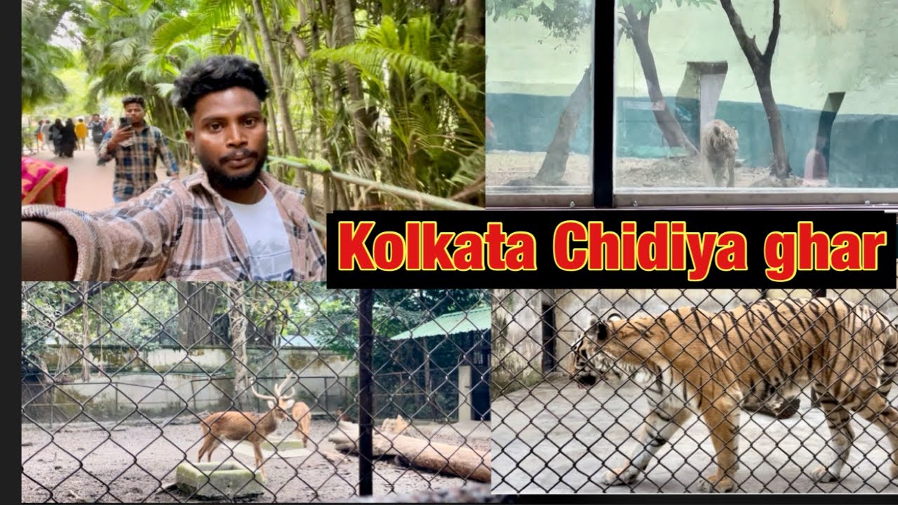 Kolkata, Chiya ghar 😂 #abcvlogs #ajaypoper #realfoolsteam @abcvlogs9627 ...