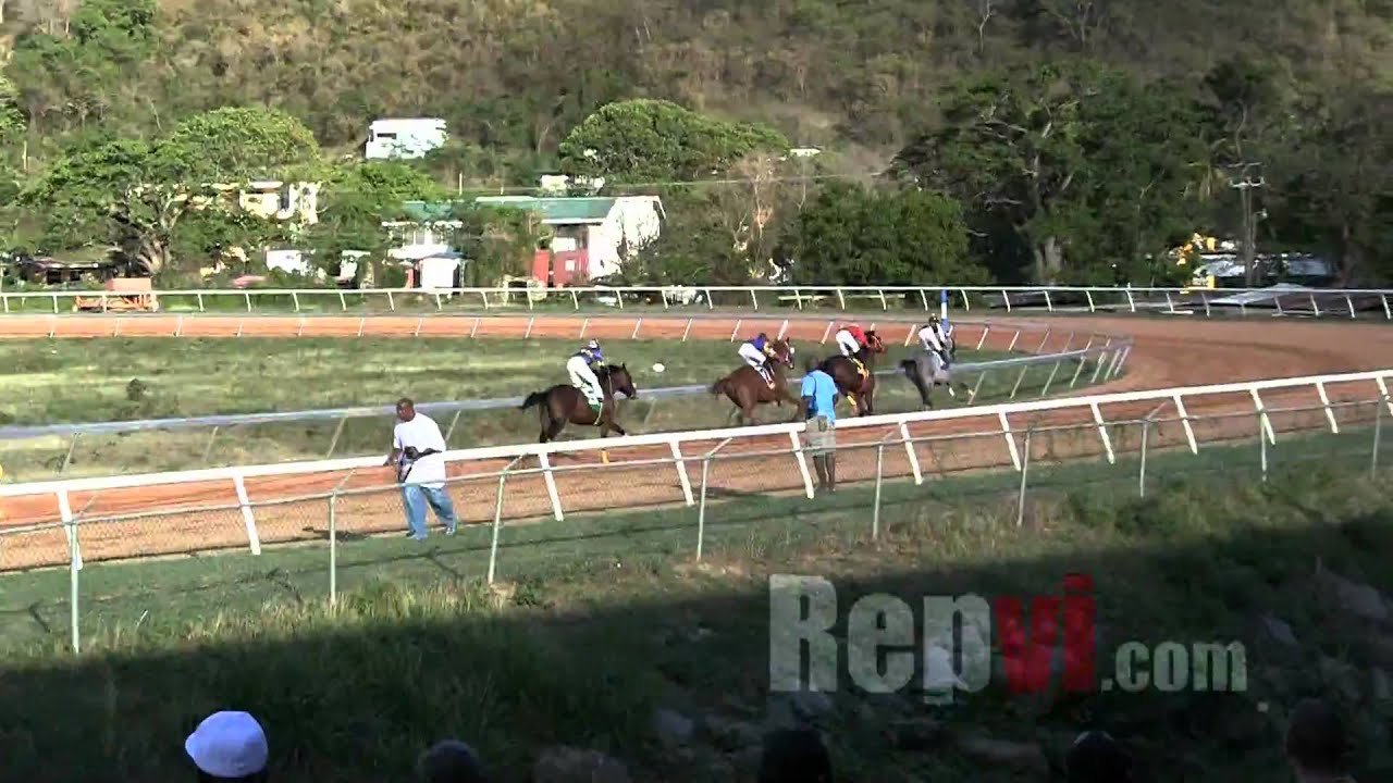 Trevelyan - BVI Horse Owners Association Pre Easter Race - April 17 ...
