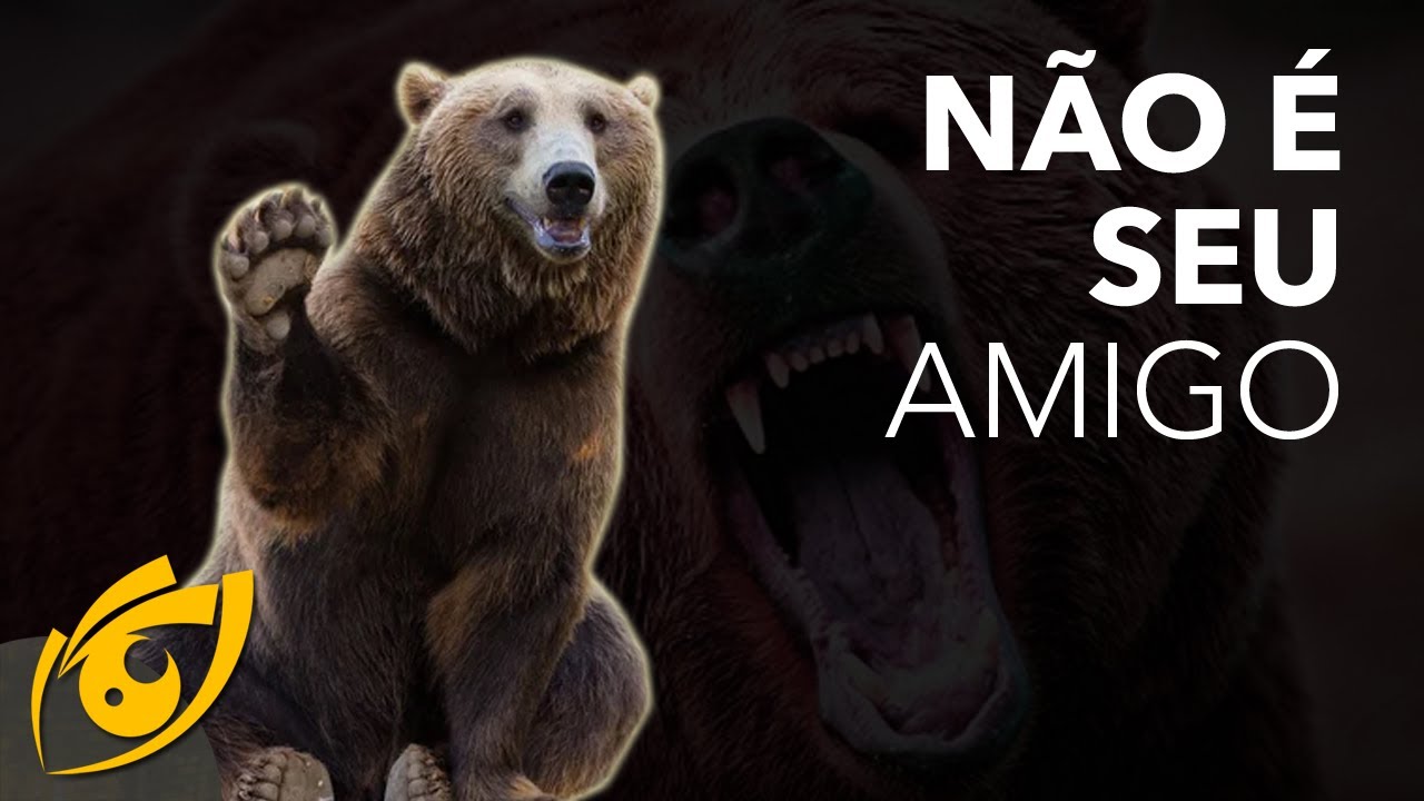 Estado, o AMIGO URSO - YouTube