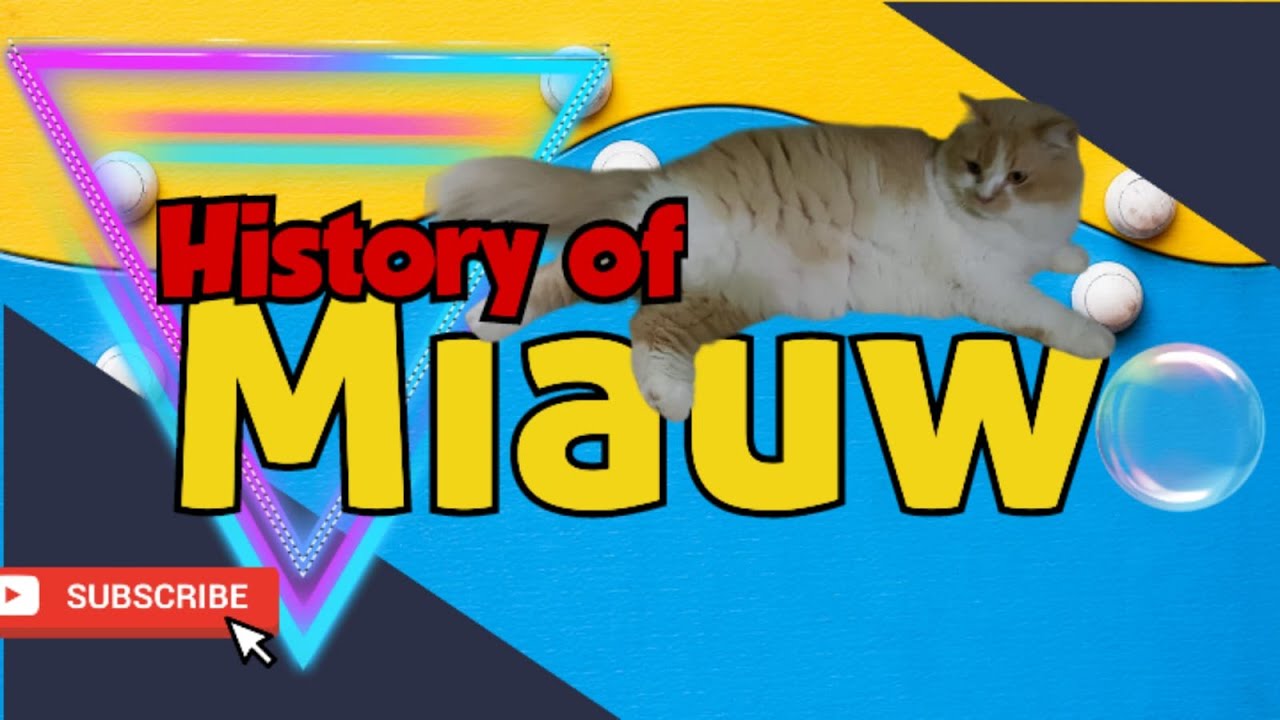 History of Miauw - YouTube