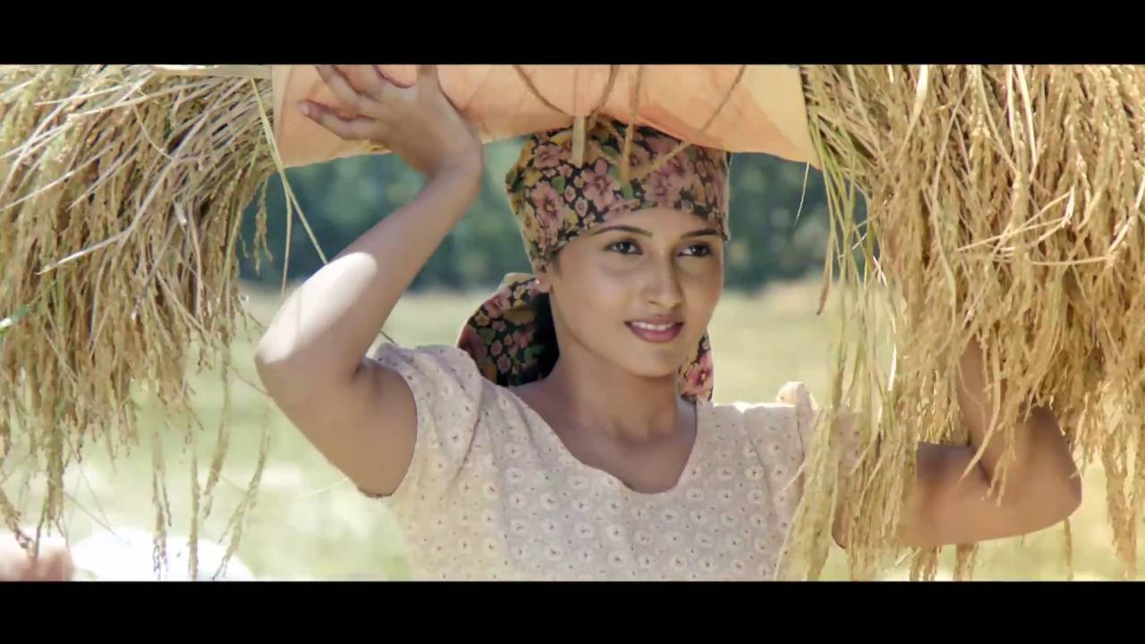 සිතමු කාන්තා ගොවි සමිතිය | Sithamu Kantha Govisamithiya - YouTube