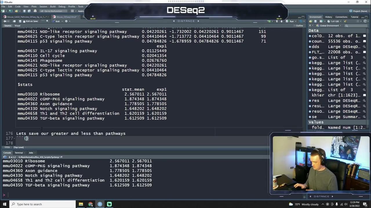 Intro Bioinformatics - DESeq pt 2 - VDB Computational Biology - YouTube