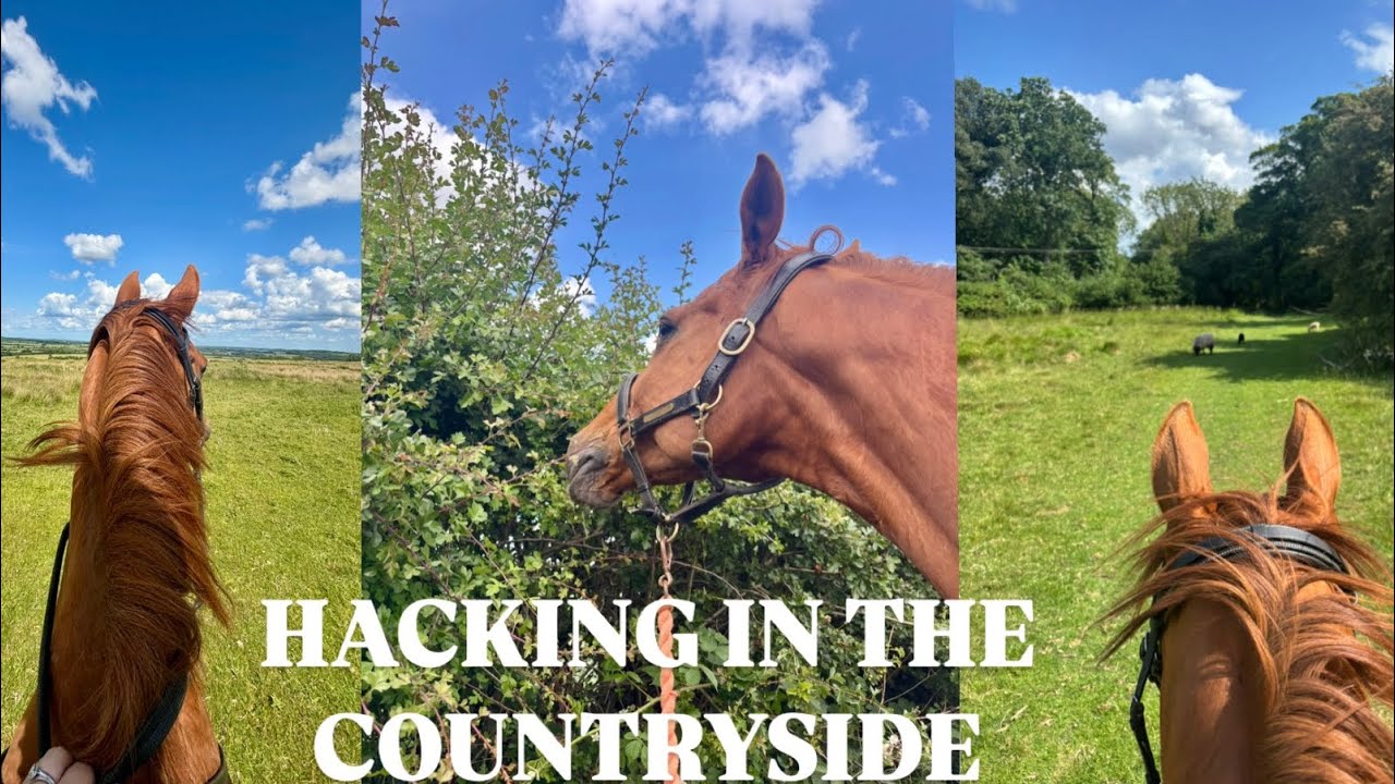 HACKING IN THE COUNTRYSIDE ON MY VETERAN HORSE // NEW RIDING CAMERA ...